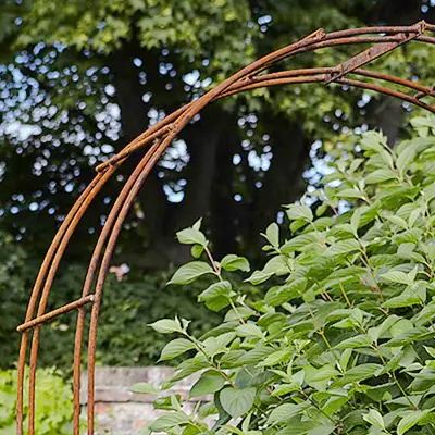 Round Top Garden Arches